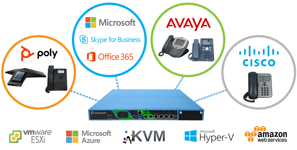 靈活的部署選項 - Deltapath